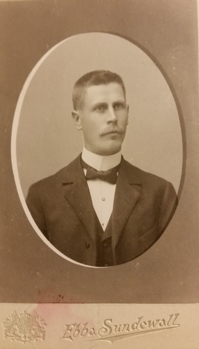 ANNA LARSDOTTER :: Skyllberg